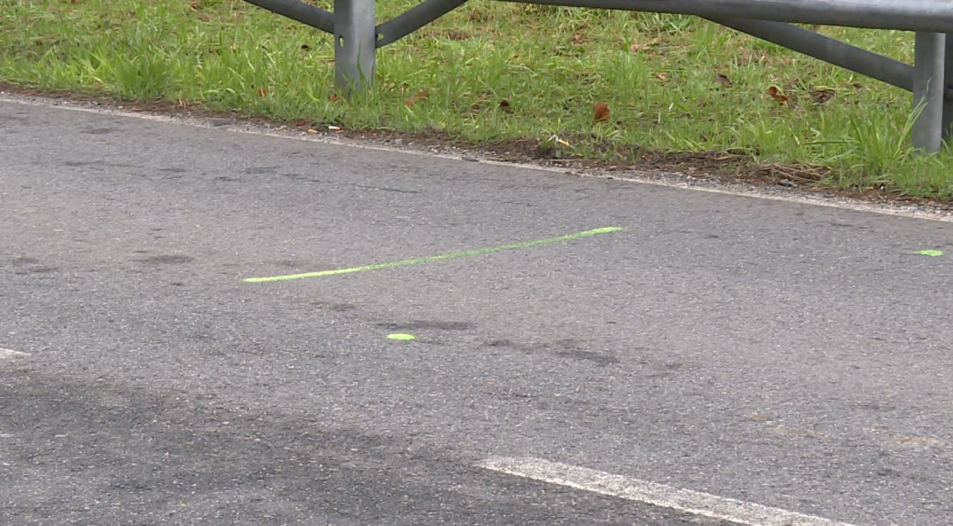 Rovello Porro, lutto per Paola, investita e uccisa da un’auto mentre ...