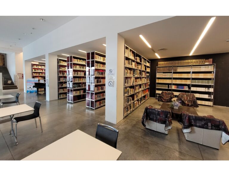 Quasi 200 libri rubati in biblioteca, arrestato nel Bresciano Archivi ...
