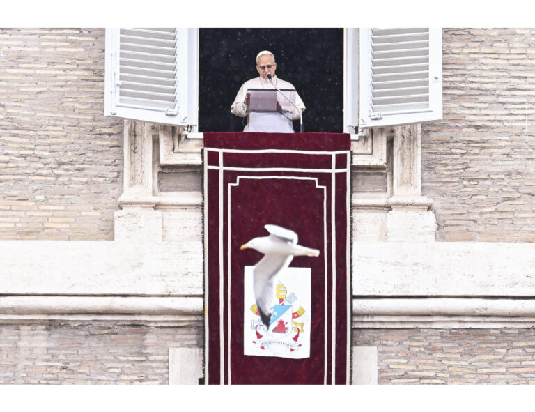 Il Papa, preghiamo per cristiani in Medio Oriente, soffrono la guerra ...